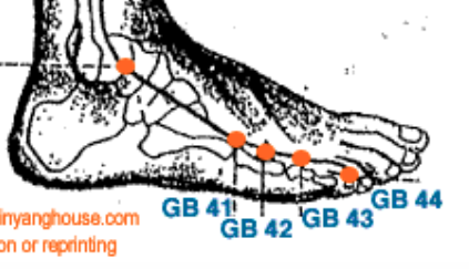 Gall Bladder points – Promoting HEALTH | WELLNESS