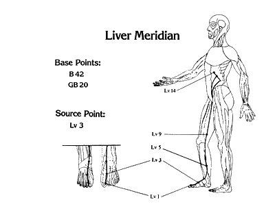 Gall Bladder points – It's about SELF Care